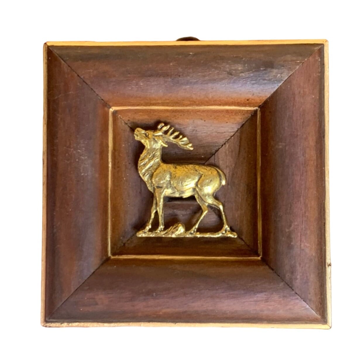 Wooden Frame with "Stag" Museum Bees | 4" x 1" – B. Viz Design